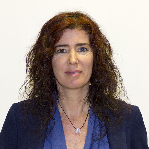 Direzione ed organi | DEC